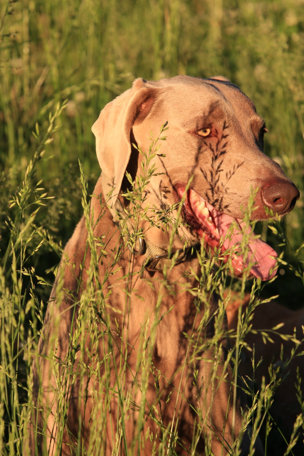 Beth Mitchell Photography