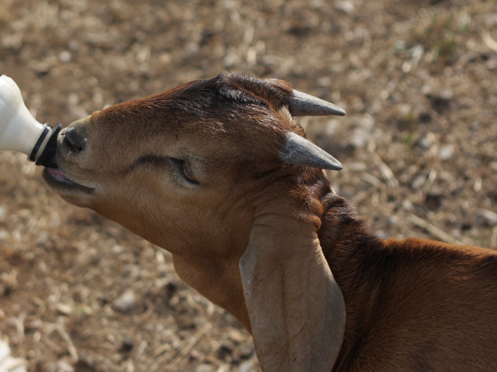 Beth Mitchell Photography