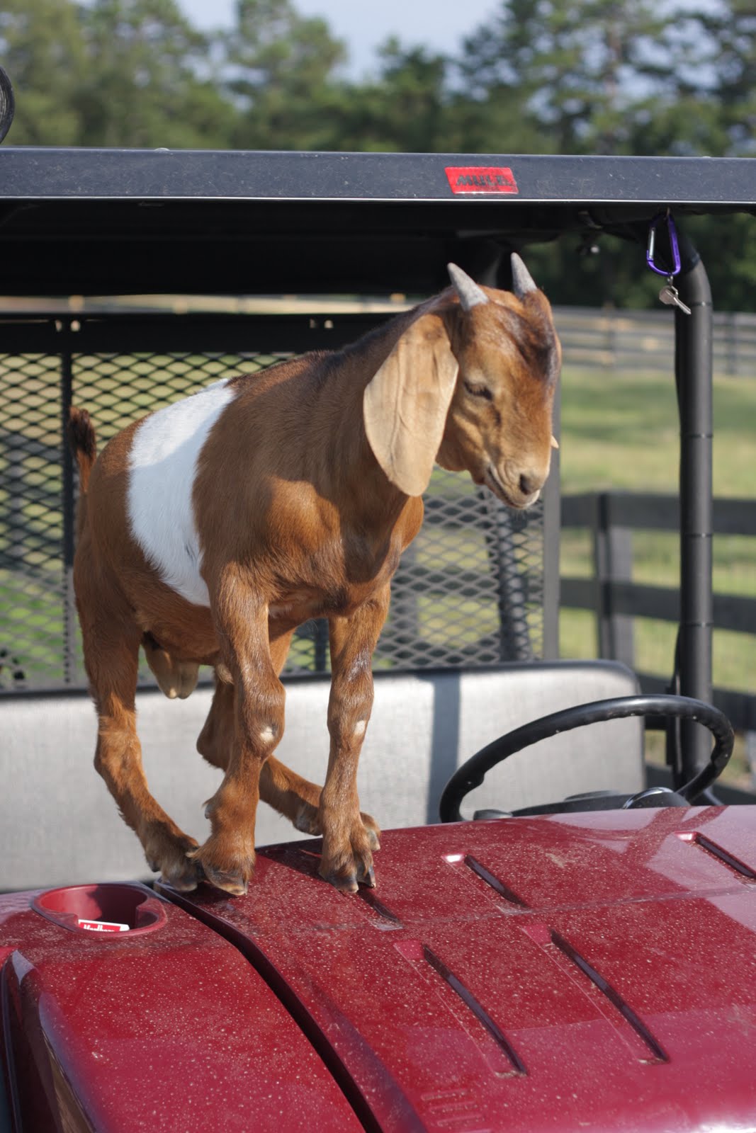 Beth Mitchell Photography