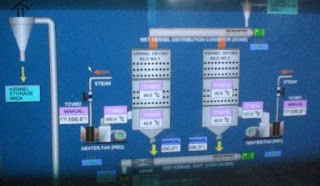 Palm Oil Mill: Pengalaman mengatasi “moisture” kernel tinggi