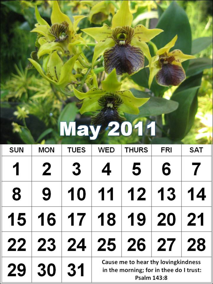 jonsent blog: may calendars 2011