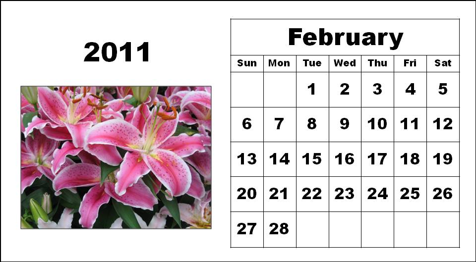 pensmetmavew: printable 2011 calendar february