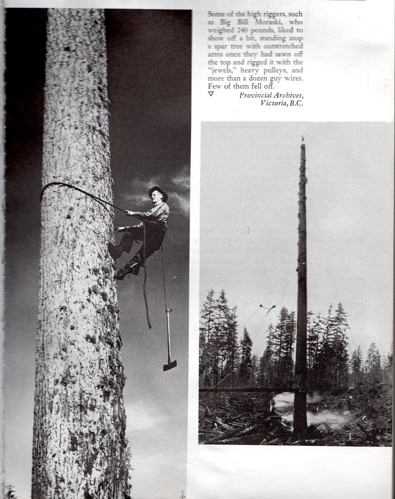 Glenlyon Woodfuel Initiative: A consideration of Skyline Extraction