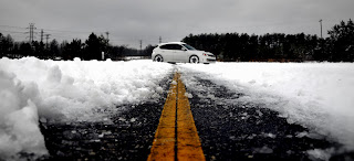 Weekend Warrior: Subi Plays in Snow - Nikon D90