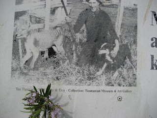 into the wild - Einsichten aus München: into the wild - tasmanian tiger