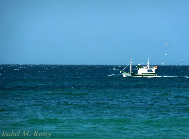 Cuaderno de Mareas: Cabo Roche y Puerto de Conil (Cádiz)