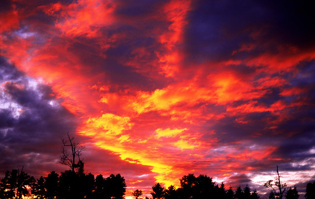 TODOS LOS ARREBOLES DEL CREPÚSCULO: A LOS ARREBOLES
