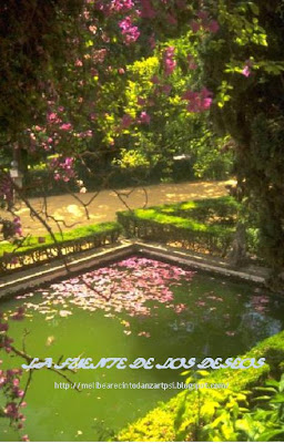 EL RECINTO DEL ALMA: LA FUENTE DE LOS DESEOS