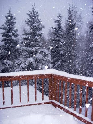 Stonehouse Asset Management, Inc: Snow is Falling!!, Sell Snow!!