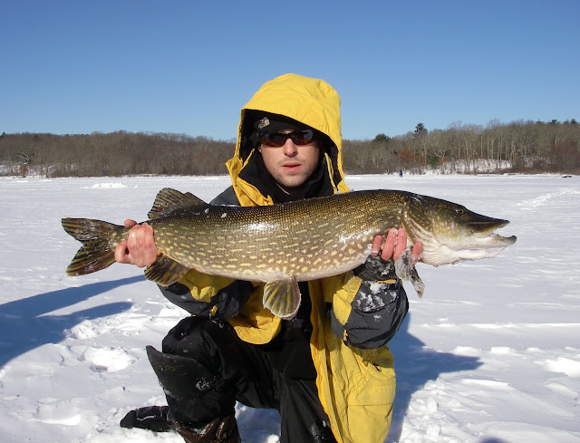 The Connecticut Yankee: Early Ice Pike