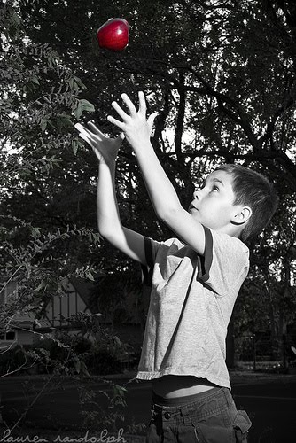 The Giver Jonas Apple