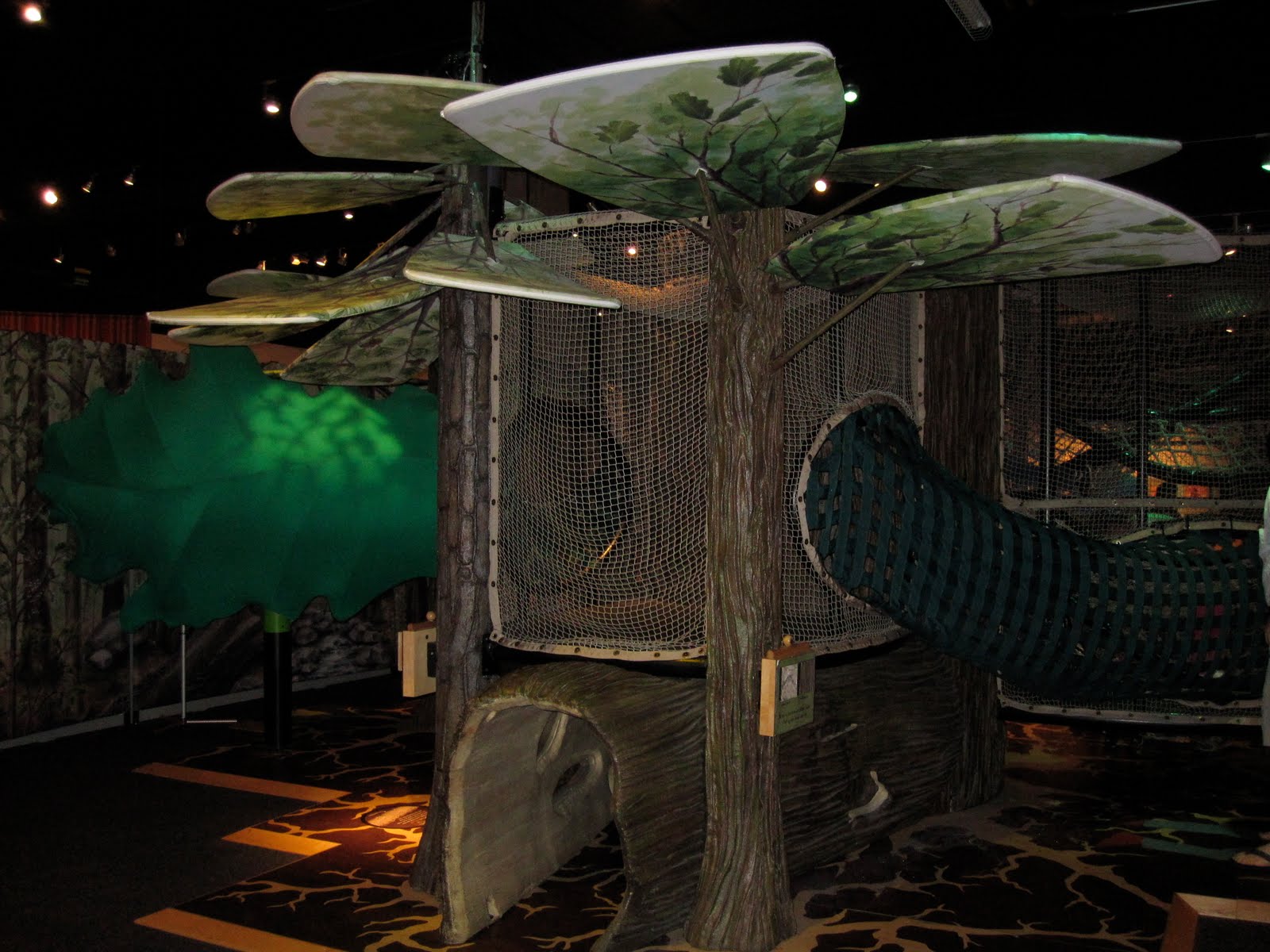 Exploring Ecosystems at the California Science Center - GoExploreNature.com