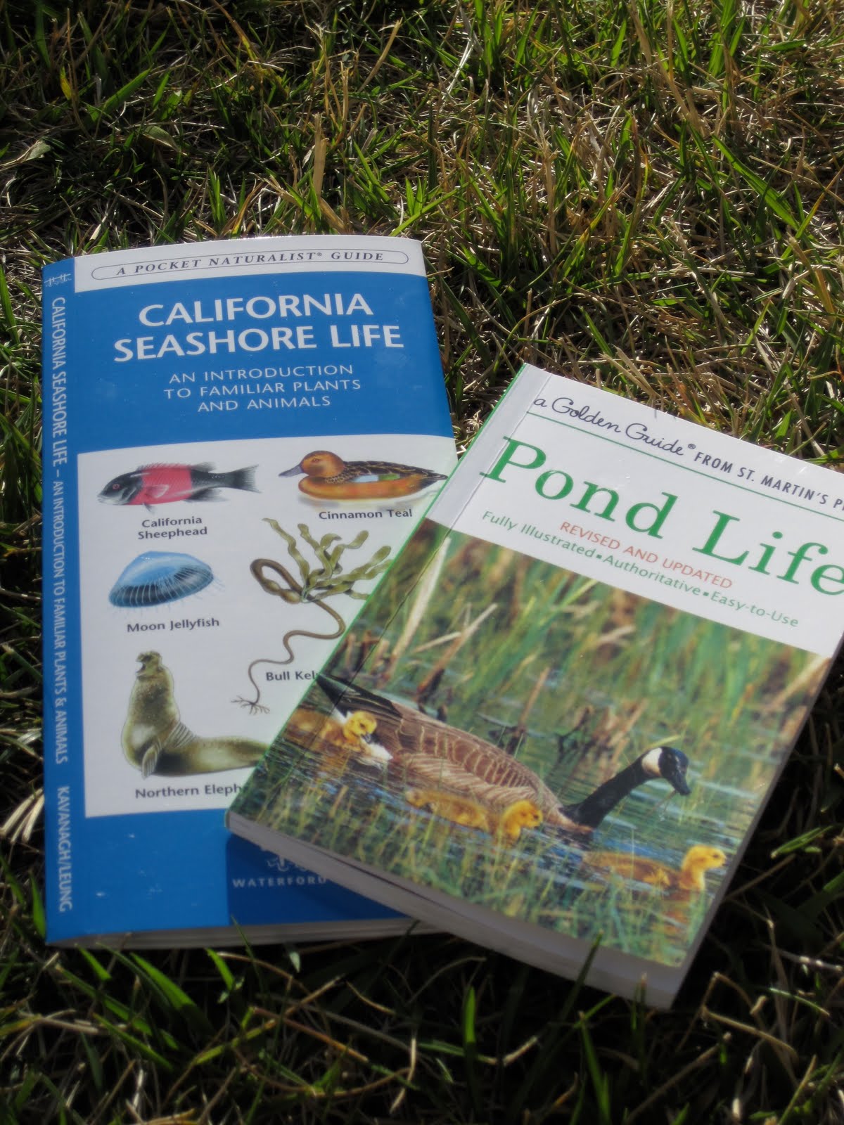 One had just pictures and names to help you identify things, the other ...