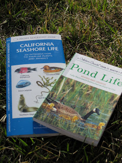 One had just pictures and names to help you identify things, the other ...