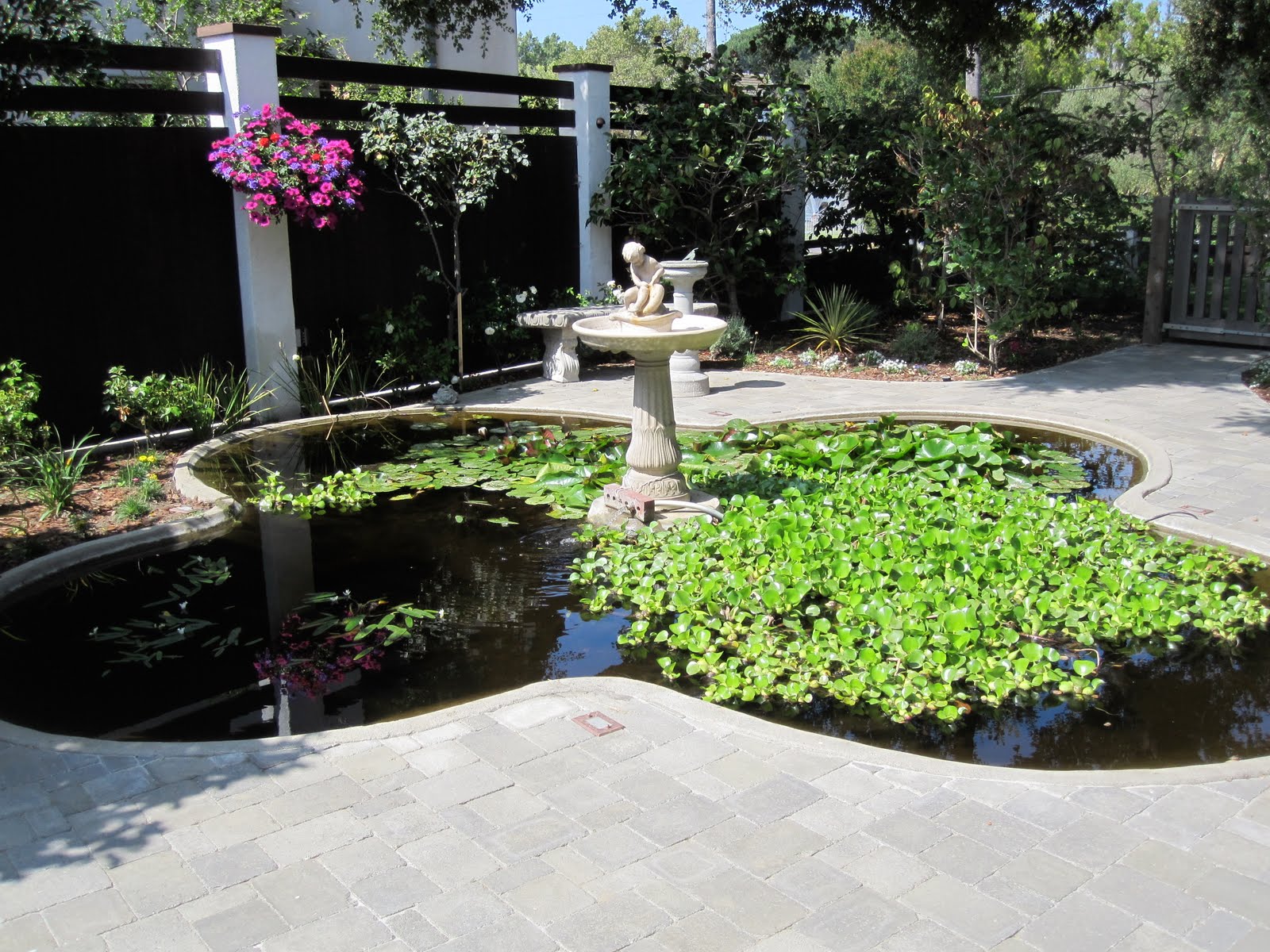 The main difference is that it now teems with life. These water lilies ...