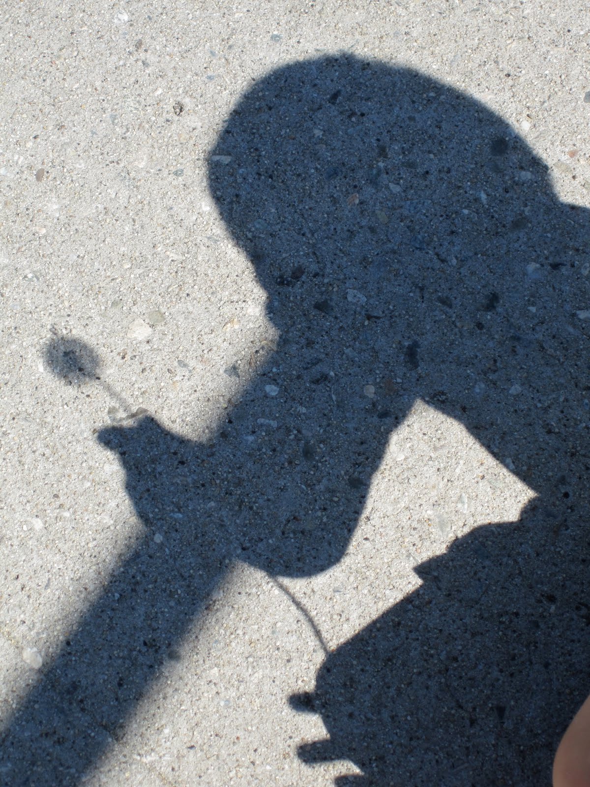 Fun Friday: Shadow Play - GoExploreNature.com