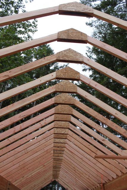 TNT Builds: Put a roof over your head