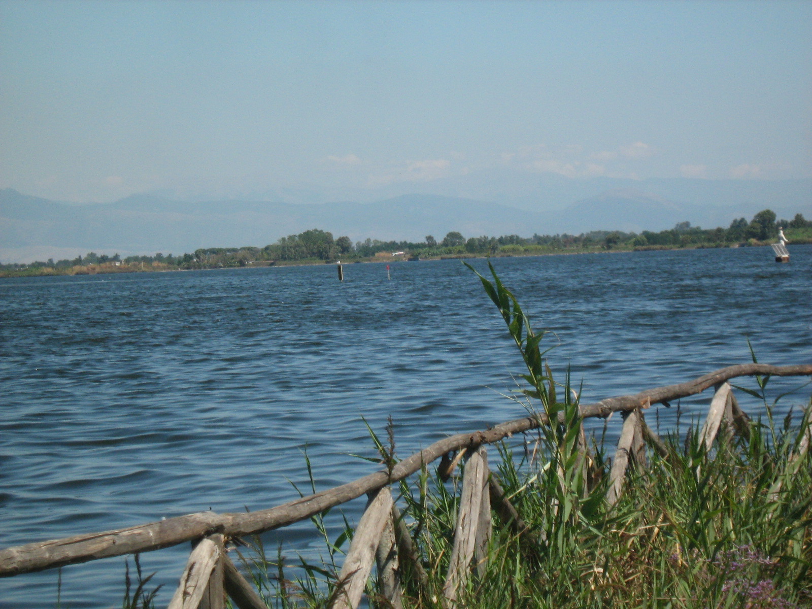 wwf lago patria e zona giuglianese-flegrea