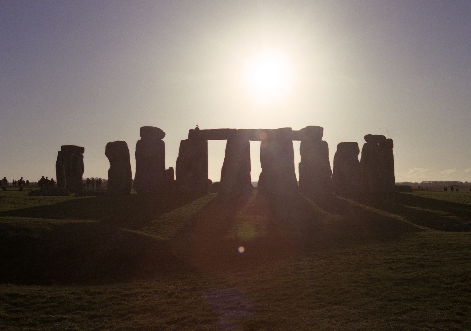 ParaChoo: February 2011