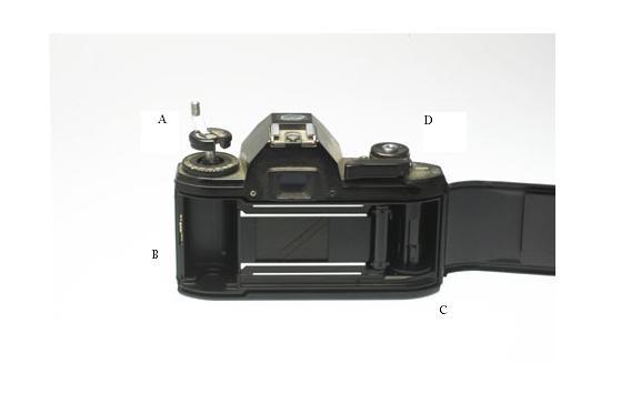 A Place For My Head: 35mm; Types of Camera and How to Use Them