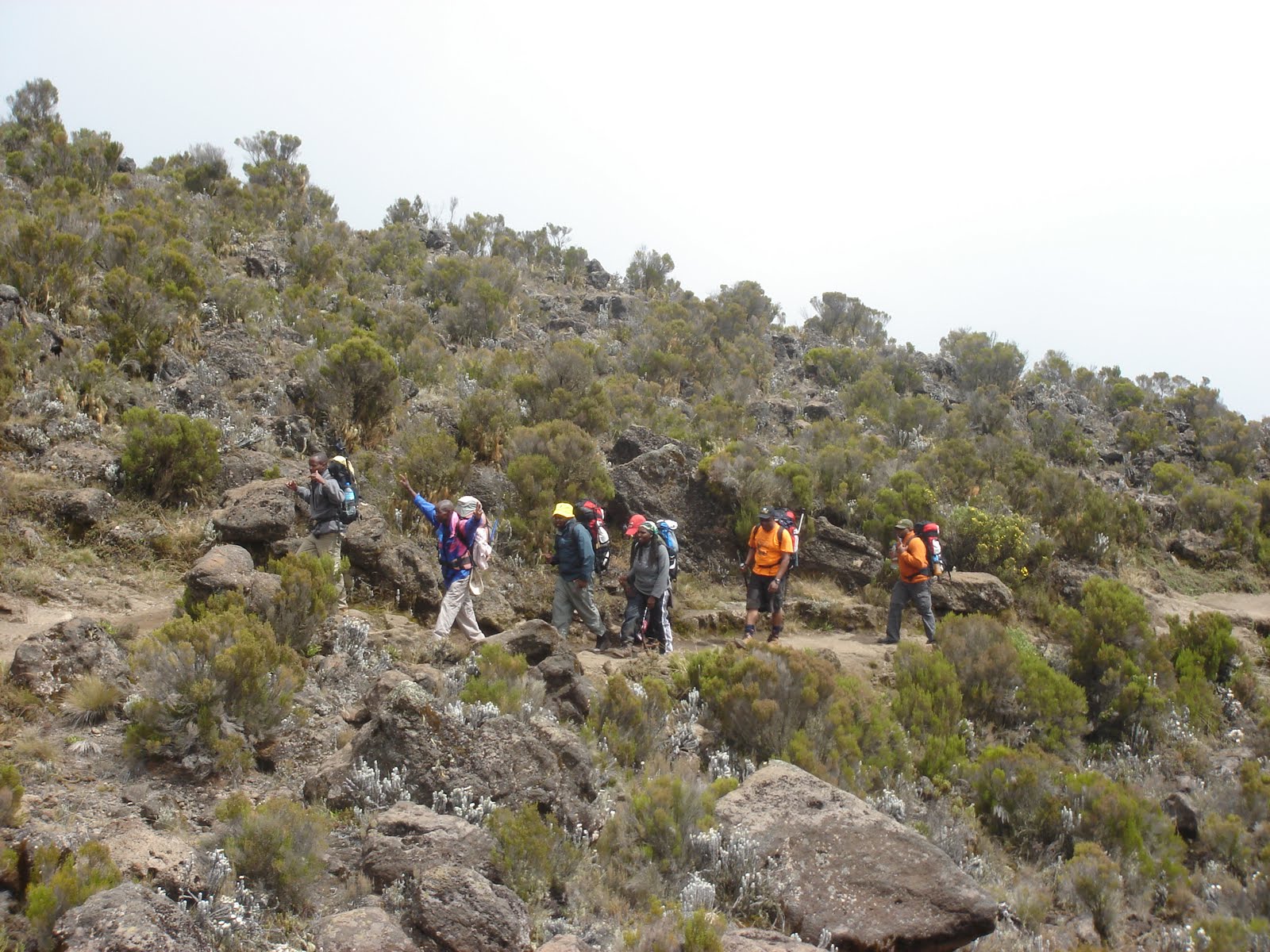 Life and a Slice of Bread: Climbing Kili....The Photos......The Experience