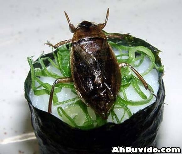 Bizarros Sushis – Ah Duvido