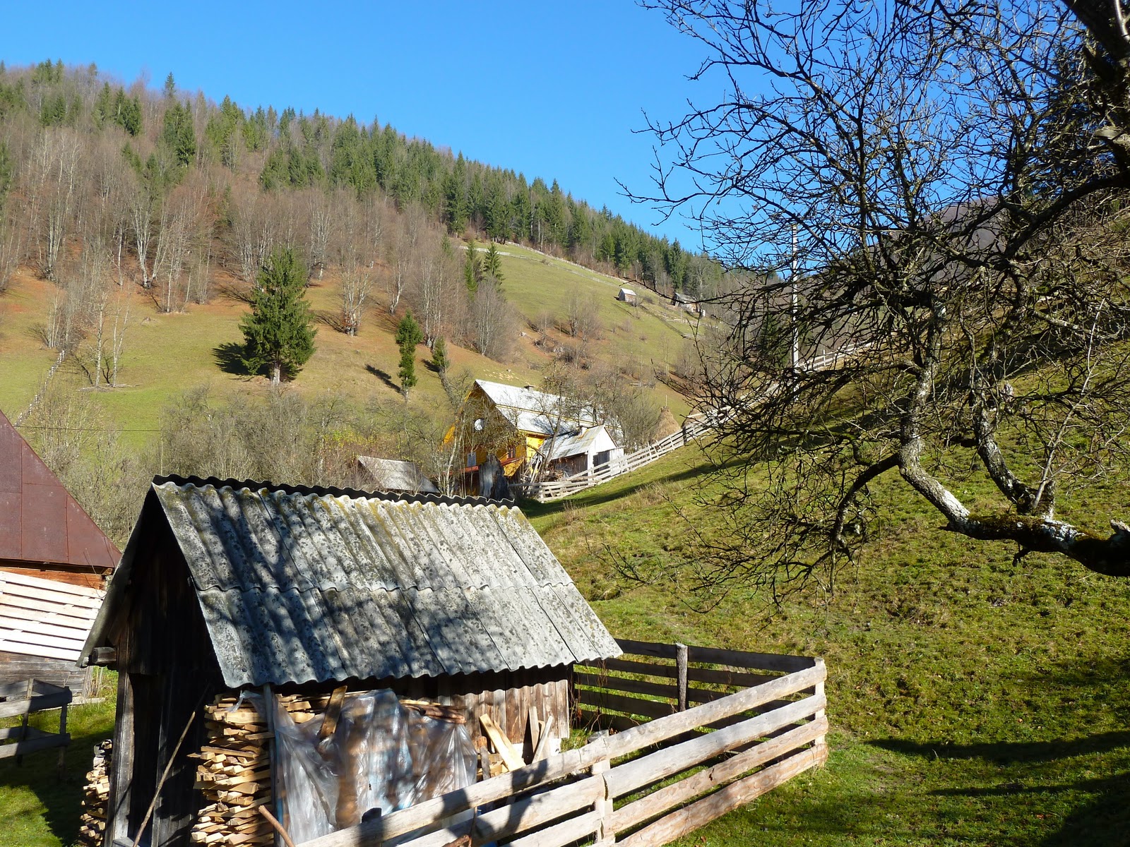 Discovering [What I Don't Know] about Romania: Quick trip to Apuseni ...