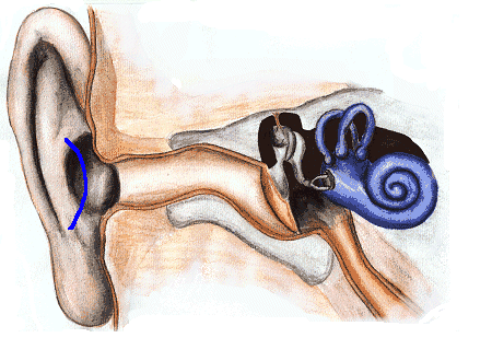 OREJAS GIFS EN MOVIMIENTO - Imagui