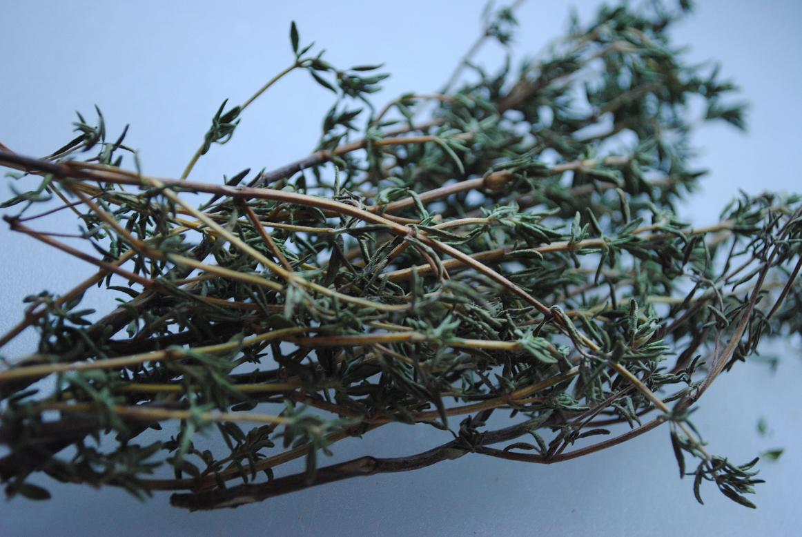 Coq Au Vin - The Kitchen McCabe