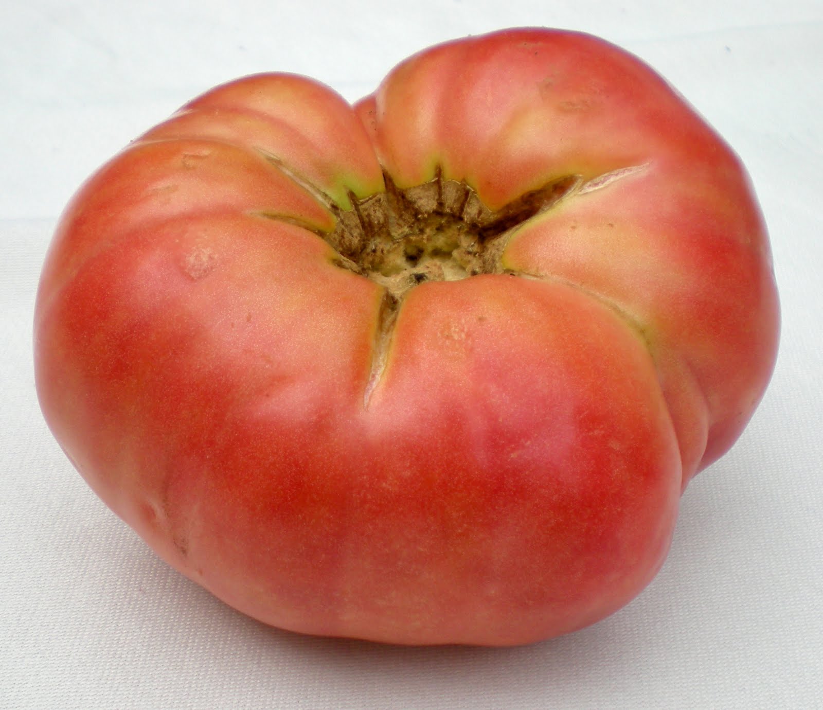 A Cook and Her Books: True Love and Home-Grown Tomatoes