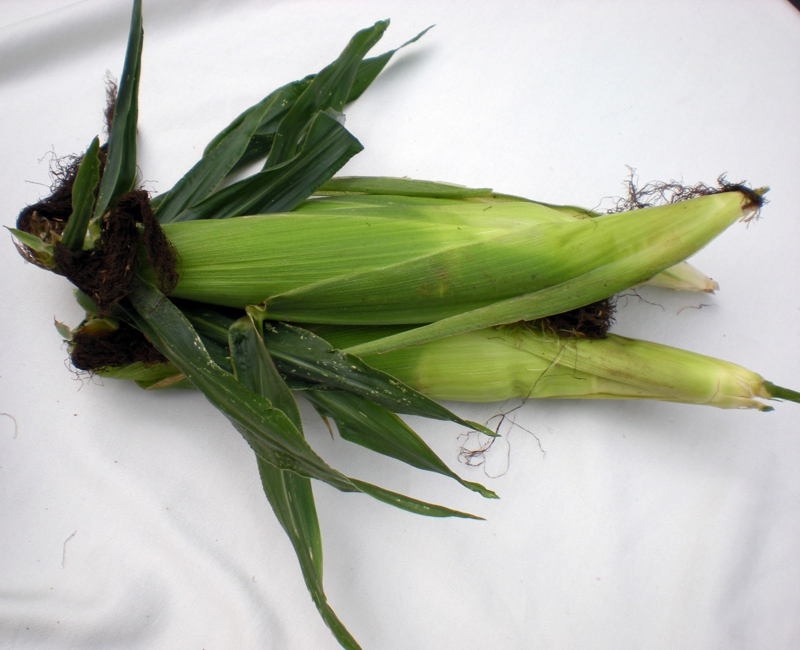 A Cook and Her Books: Granddaddy's Cast-Iron Skillet Fried Corn