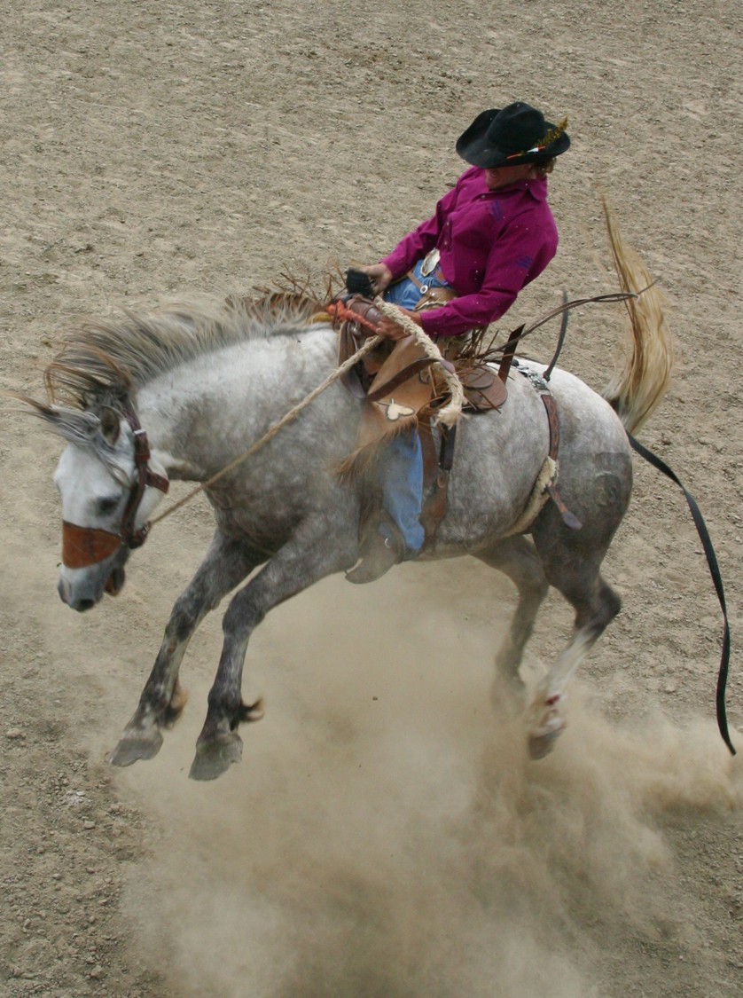 The Old House in Texas: Real men (cowboys) wear (hot) pink...