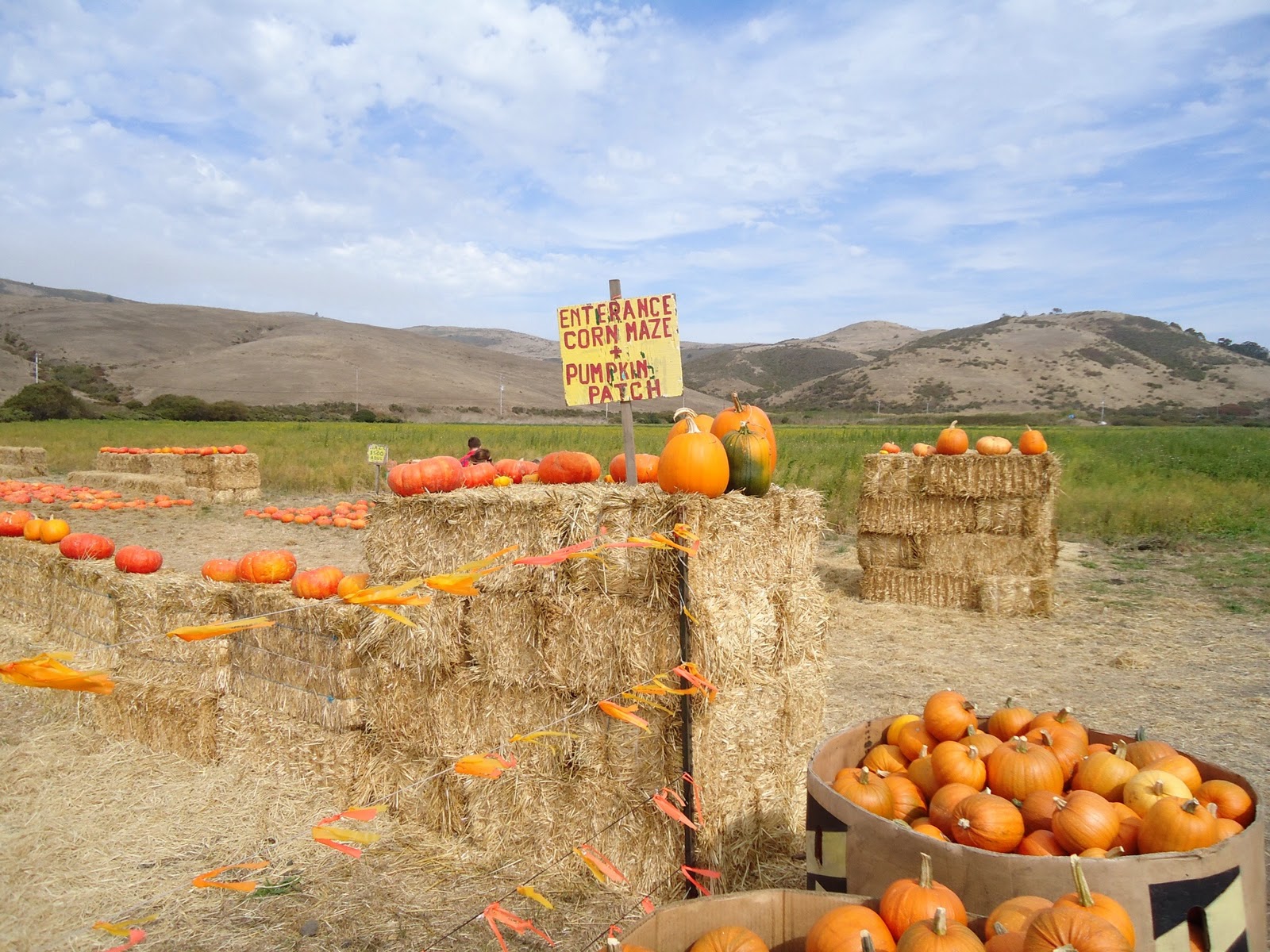 Alice's Travel Adventures: Muzzi's Ranch Pumpkin Patch and Corn Maze