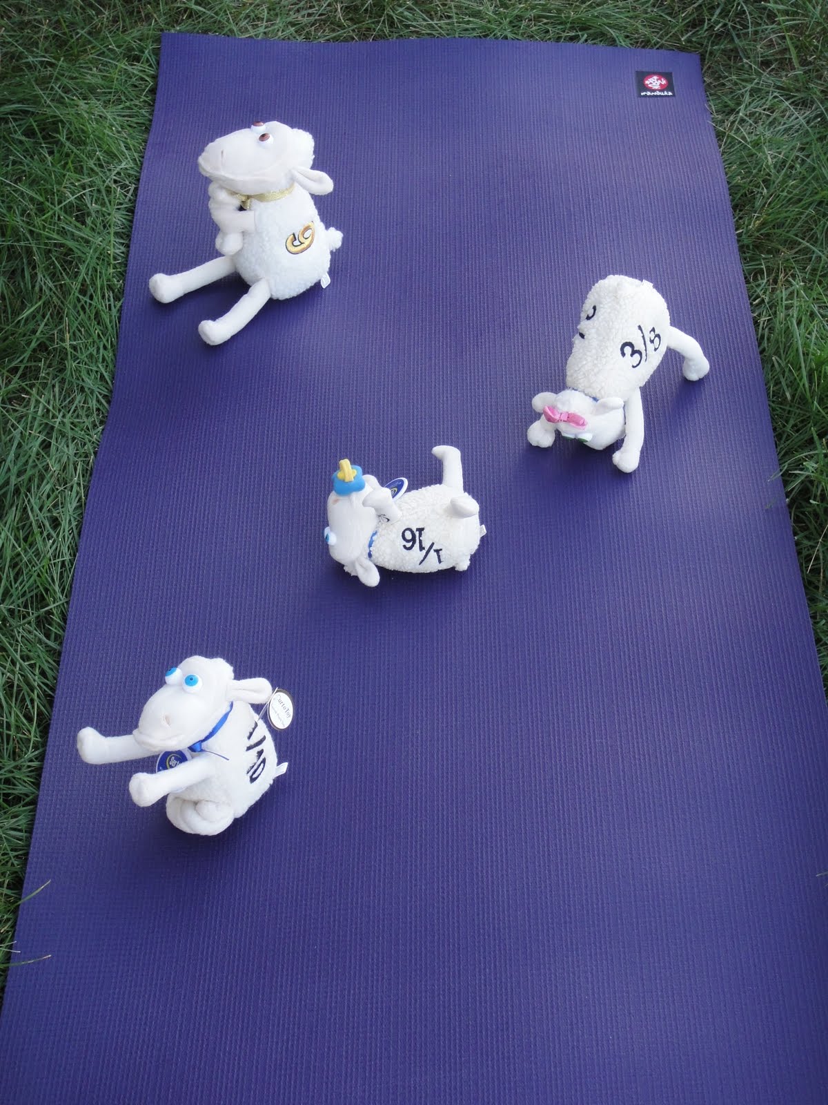 Prowling Sheep - folie à plusieurs since 2007: Sheep Doing Yoga Baaaaadly