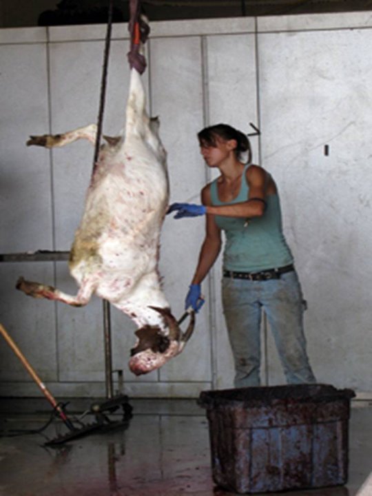 BUTCHER LADY: the goat she loves