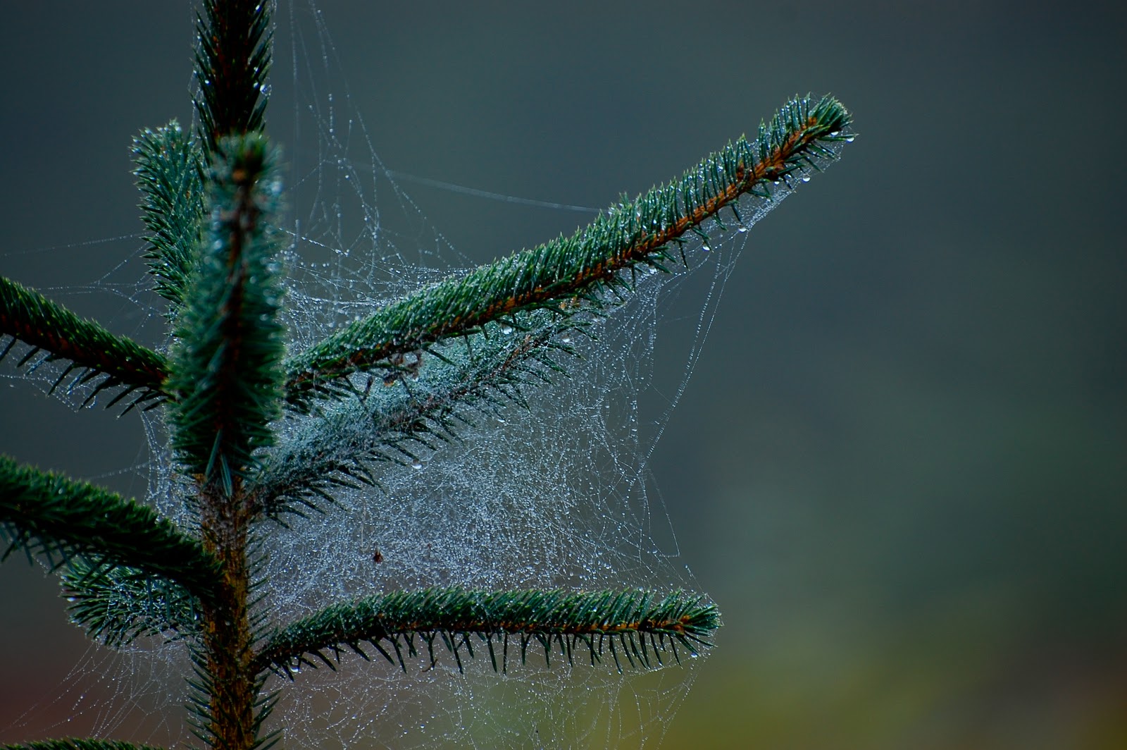 Tom Ruben Photography