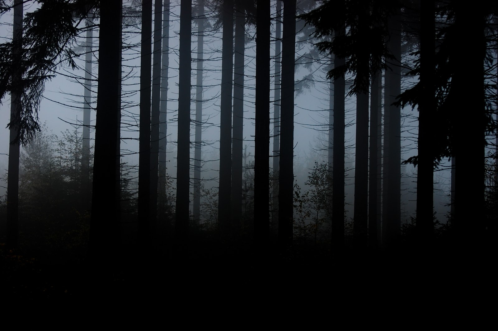 Tom Ruben Photography