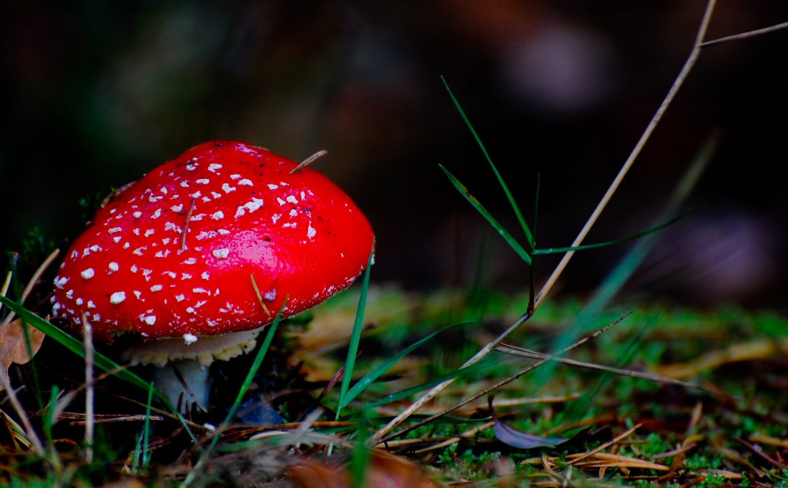 Tom Ruben Photography