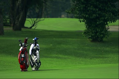 opini-prayitno.ramelan: PEMILIHAN SEBUAH STICK GOLF