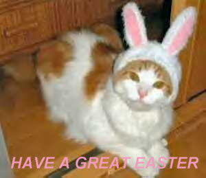 Katie's Kitties: Here Come the Easter Kitties!