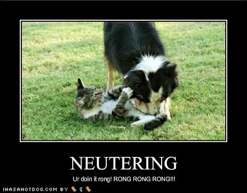 Girl Lip Tattoo: Spay And Neuter