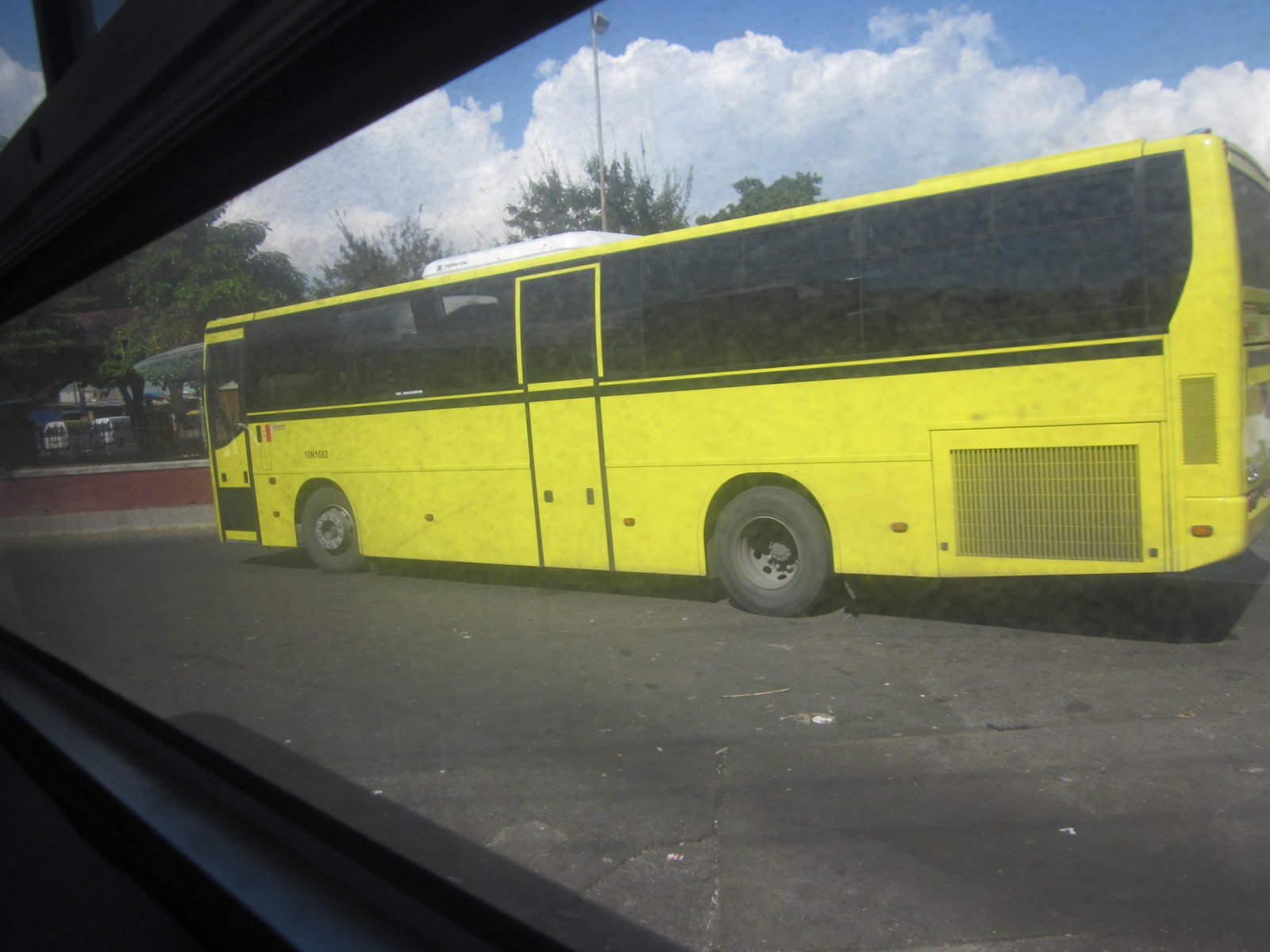 Fulbright in Jamaica 2010-2011: It's GROWN on me