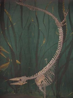 The Tyrannosaur Chronicles: the royal tyrrell museum