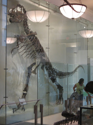 The Tyrannosaur Chronicles: one of the greatest dinosaur halls ever ...