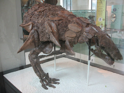 The Tyrannosaur Chronicles: February 2009