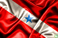 Suí do Açaizeiro: A História da Bandeira do Pará