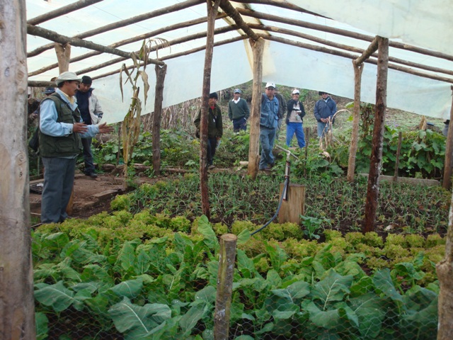 Mi Finca Integral Sostenible: PRACTICAS AGROECOLOGICAS ...