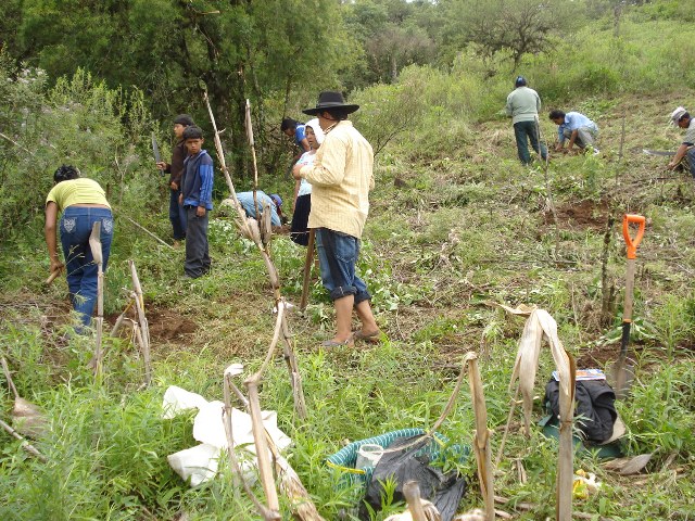 Mi Finca Integral Sostenible: PRACTICAS AGROECOLOGICAS - Sistemas Agro ...