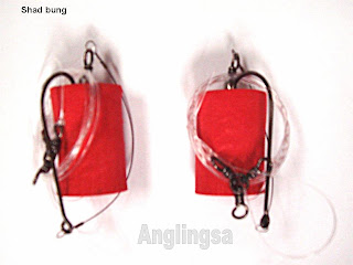 Angling: Target species: Shad