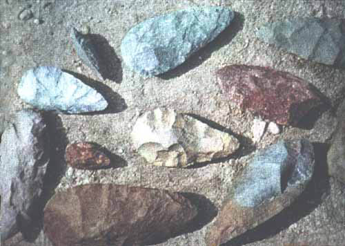 "It's Not Worth Havin": Artifacts and Hominids!